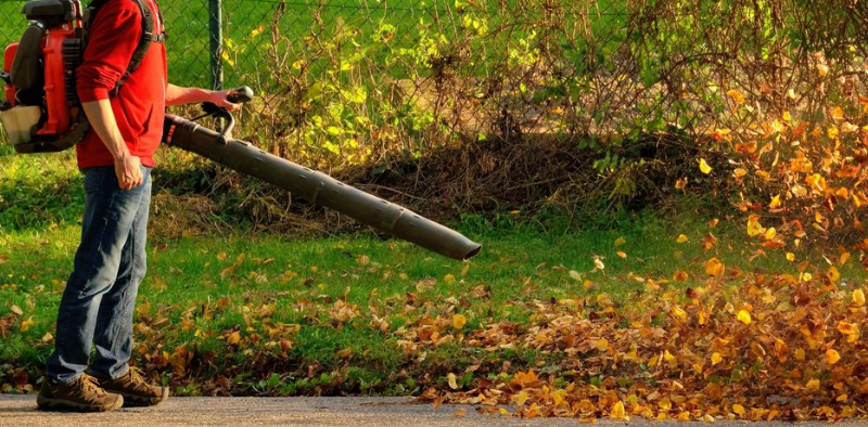 Leaf Blower Service – Pro Power